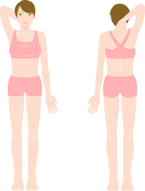 210 Acupressure Back Illustrations Royalty Free Vector Graphics