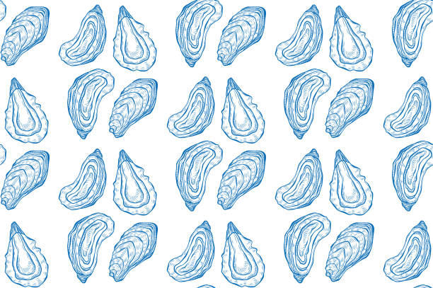 Free Stock Photo of Oyster shells background | Download Free Images and ...