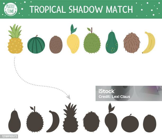 Activité Dappariement Dombre Tropicale Pour Les Enfants Puzzle Jungle