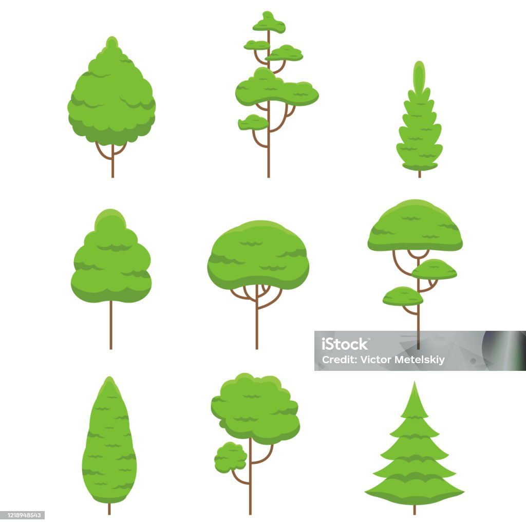 Ensemble Dicône Darbre Plantes Vertes Dans Un Style Plat Différentes