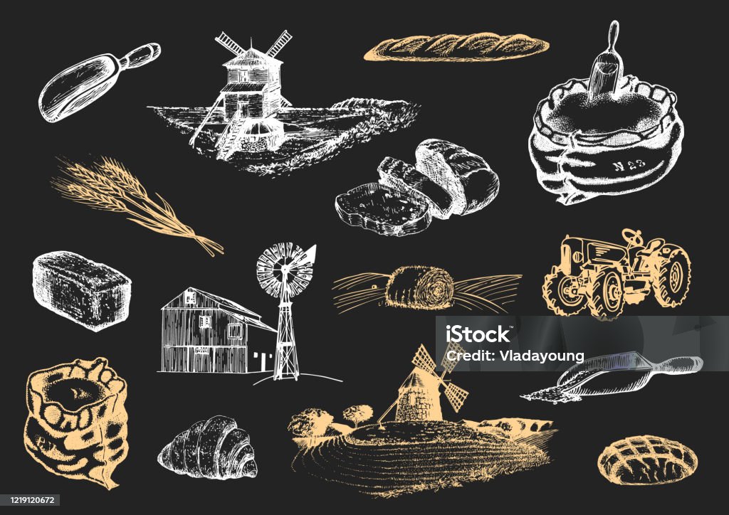 Vetores De Ilustrações Gráficas De Coisas Miller Em Vetor Conjunto