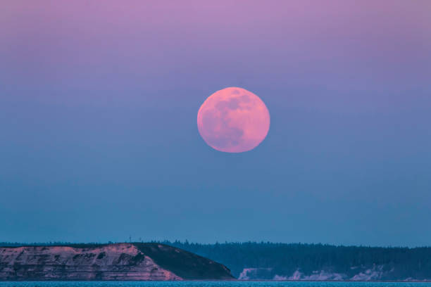 1500+ Pink Moon Pictures | Download Free Images on Unsplash