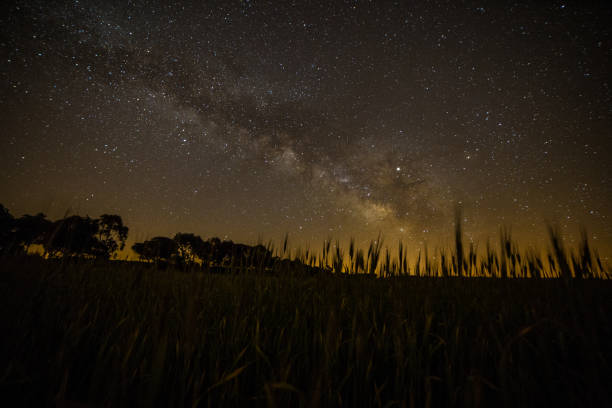 Free Stock Photo of Starry Night Sky Over Grassy Field | Download Free ...