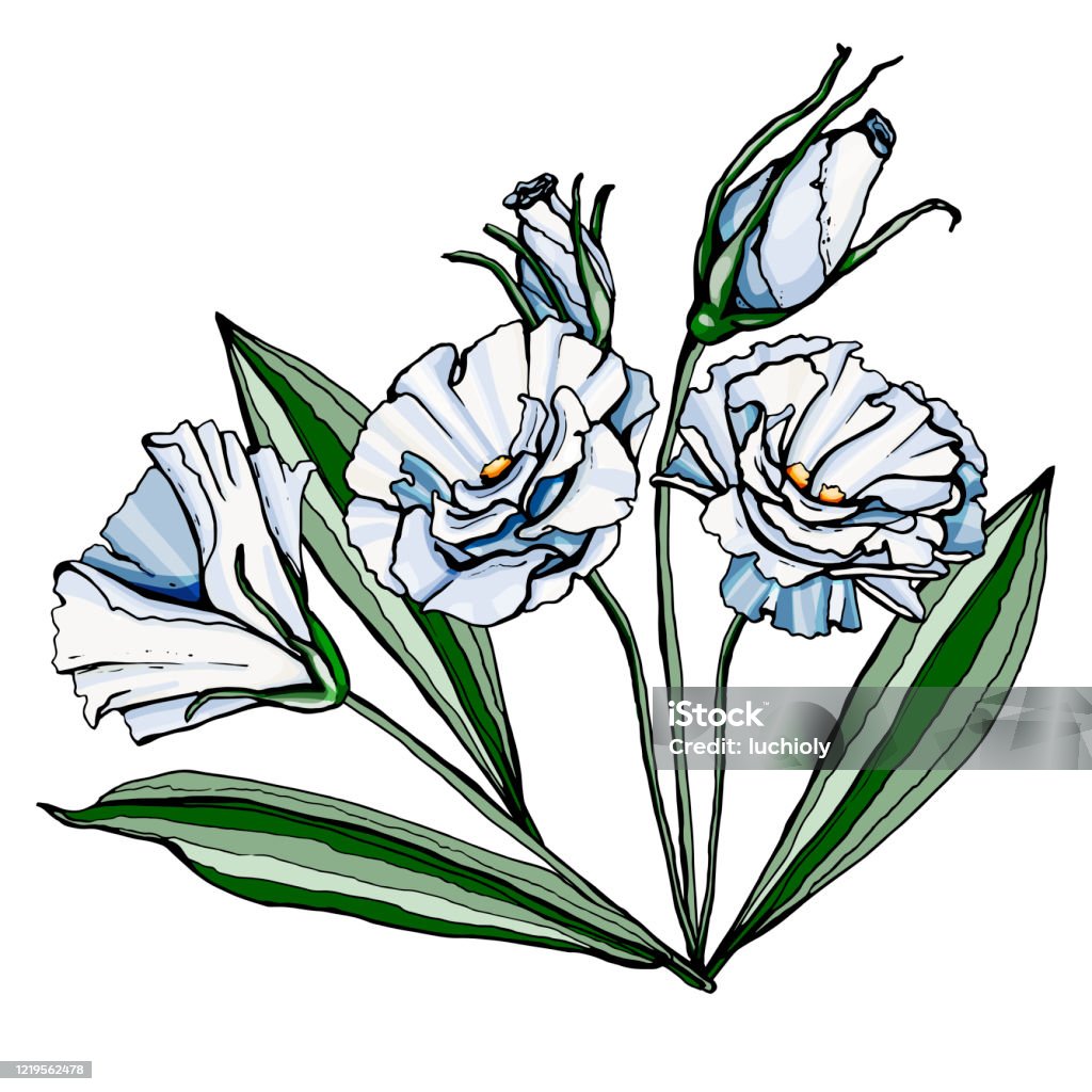 Bouquet Of Flowers Isolated Over White Background Stock Illustration