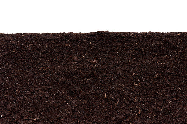 Dirt Ground Pictures | Download Free Images on Unsplash