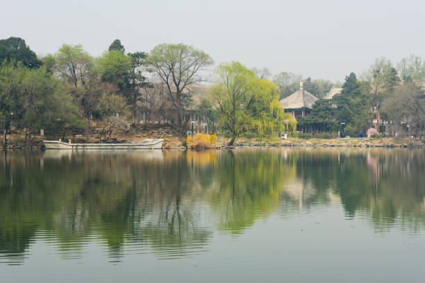 Peking University Pictures | Download Free Images on Unsplash