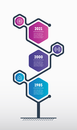 Infographie Verticale Ou Ligne De Temps Avec 3 Options Développement Et
