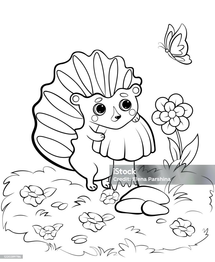 Mewarnai Garis Besar Halaman Landak Kartun Lucu Dengan Jamur Gambar