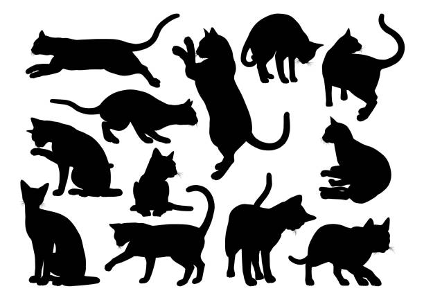 37 200 Cat Silhouette Stock Illustrations Royalty Free Vector