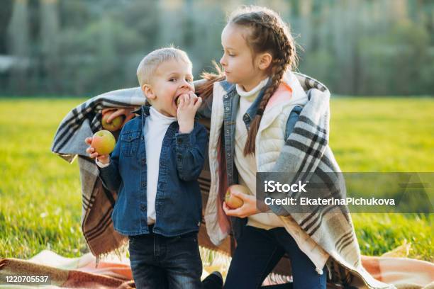 Anakanak Makan Apel Di Rumput Hijau Kakak Dan Adik Bermain Dengan Apel ... Anakanak Makan Apel Di Rumput Hijau Kakak Dan Adik Bermain Dengan Apel ...