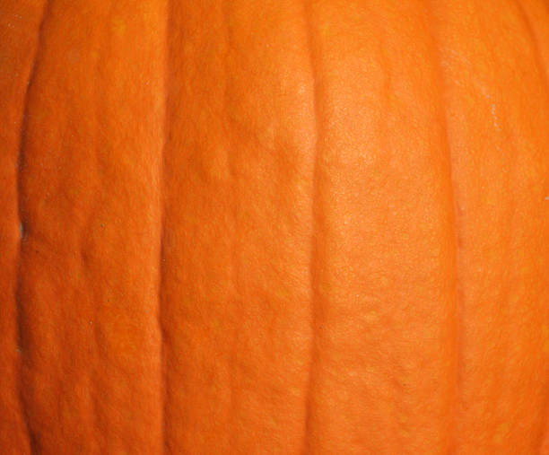 60,100+ Pumpkin Texture Stock Photos, Pictures & Royalty-Free Images ... 60,100+ Pumpkin Texture Stock Photos, Pictures & Royalty-Free Images ...
