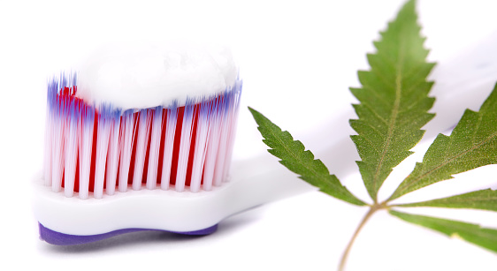 Cannabis Cbd Toothpaste With Hemp Leaves And Toothbrush Isolated On