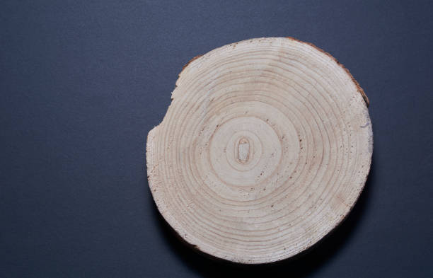 Wood Circle Multicoloured - Free photo on Pixabay