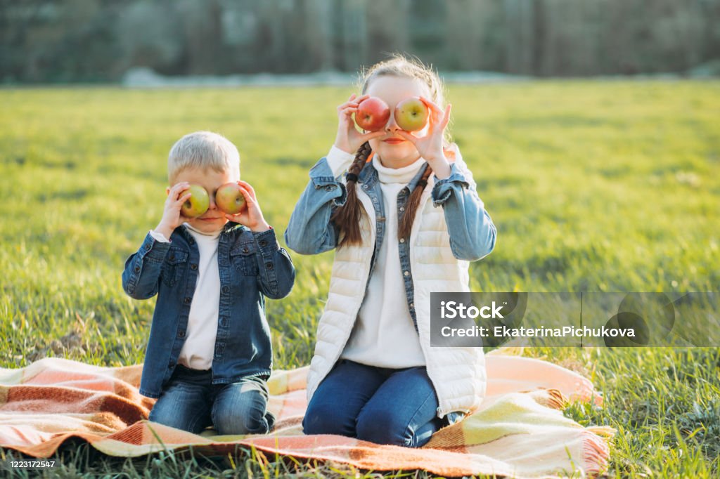 Anakanak Makan Apel Di Rumput Hijau Kakak Dan Adik Bermain Dengan Apel ... Anakanak Makan Apel Di Rumput Hijau Kakak Dan Adik Bermain Dengan Apel ...
