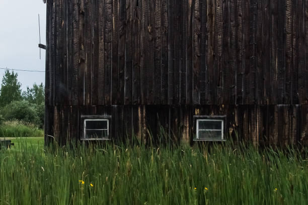 Free Stock Photo of Old Wooden Barn With Windows and Grass | Download ...