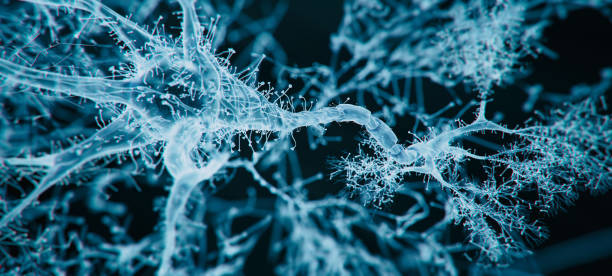 Neurotrasmettitore Immagine - Foto e Immagini Stock - iStock Neurotrasmettitore Immagine - Foto e Immagini Stock - iStock