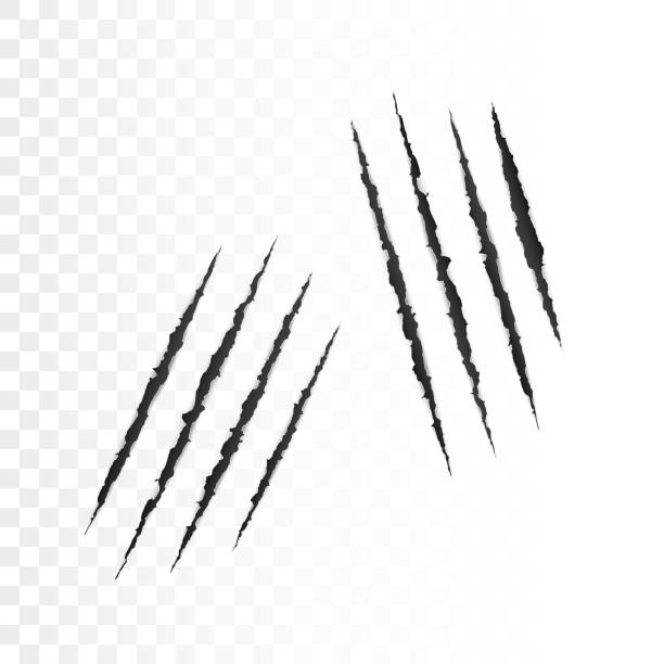 lion scratch mark vektor zdarma | AI, SVG a EPS