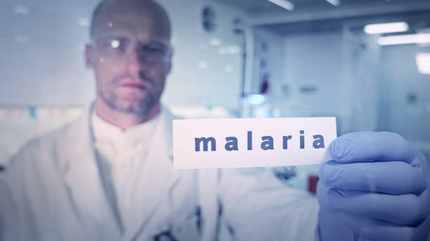Free picture: malaria, control, worker, demonstrating, malathion ...
