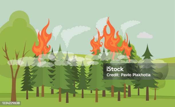 Incendie Dans Lillustration Plate De Vecteur De Forêt Catastrophe