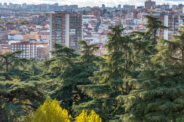 Free Stock Photo of Panoramic view of a dense Spanish cityscape ...
