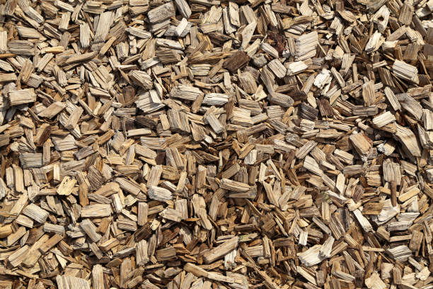 Free Stock Photo of Wet pine wood chips | Download Free Images and Free ...