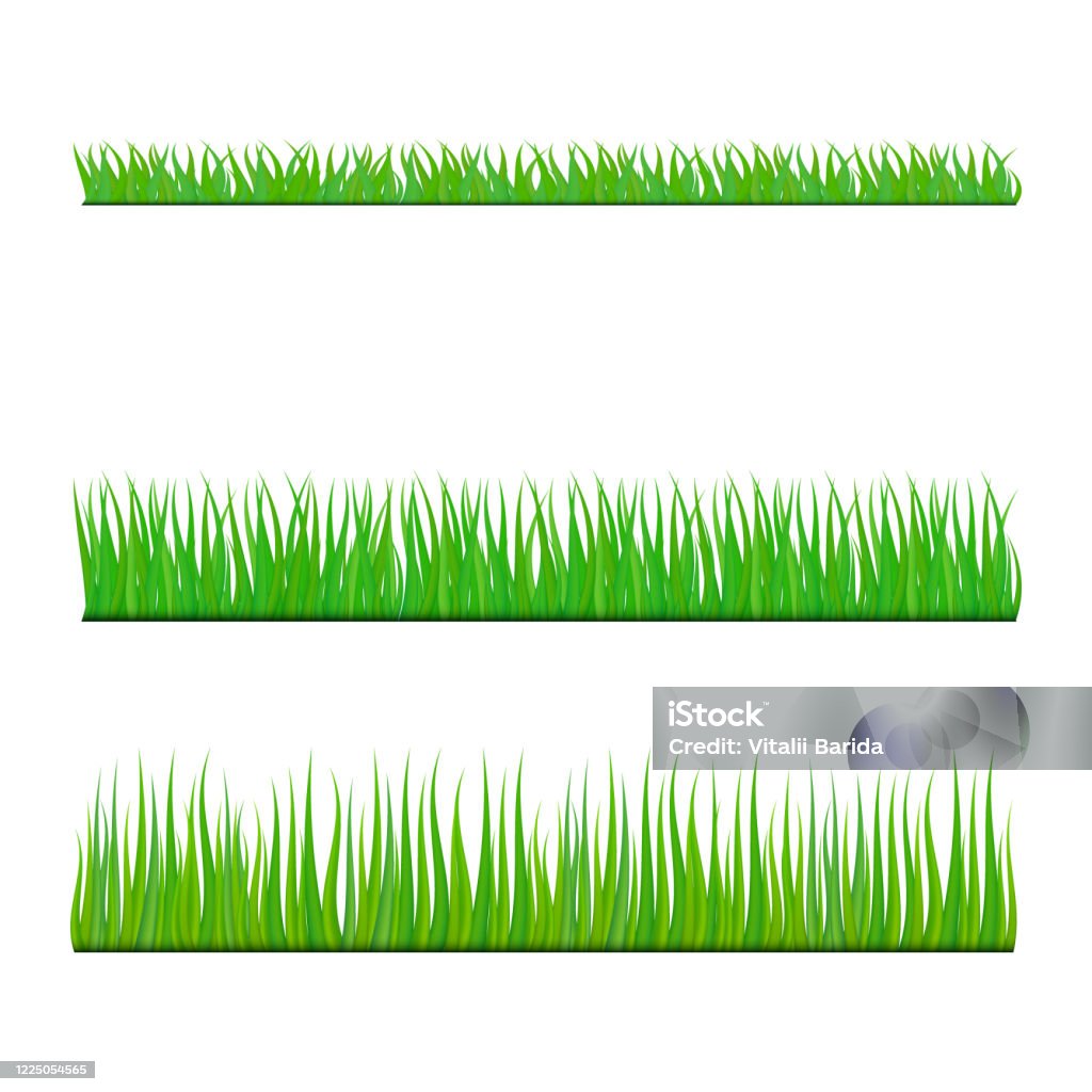 Ensemble Vert De Pelouse Dherbe Illustration De Vecteur De Frontière Ou