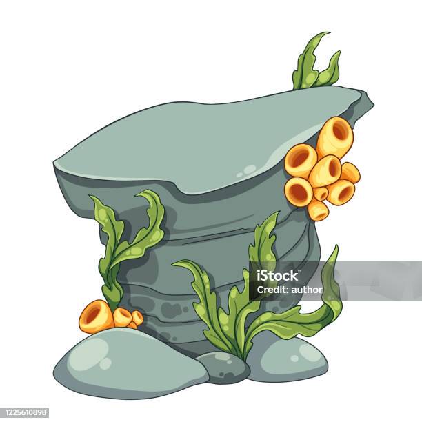Ganggang Laut Dan Spons Tumbuh Di Atas Kehidupan Laut Batu Ilustrasi ... Ganggang Laut Dan Spons Tumbuh Di Atas Kehidupan Laut Batu Ilustrasi ...