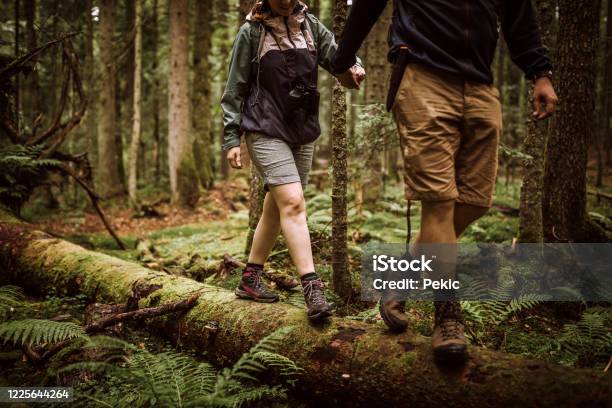 Beberapa Pejalan Kaki Berpetualang Di Hutan Foto Stok - Unduh Gambar ... Beberapa Pejalan Kaki Berpetualang Di Hutan Foto Stok - Unduh Gambar ...