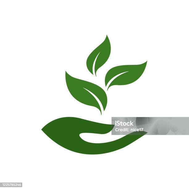 Icon Of Hands Carefully Holding Green Leaves Symbol Of Ecology
