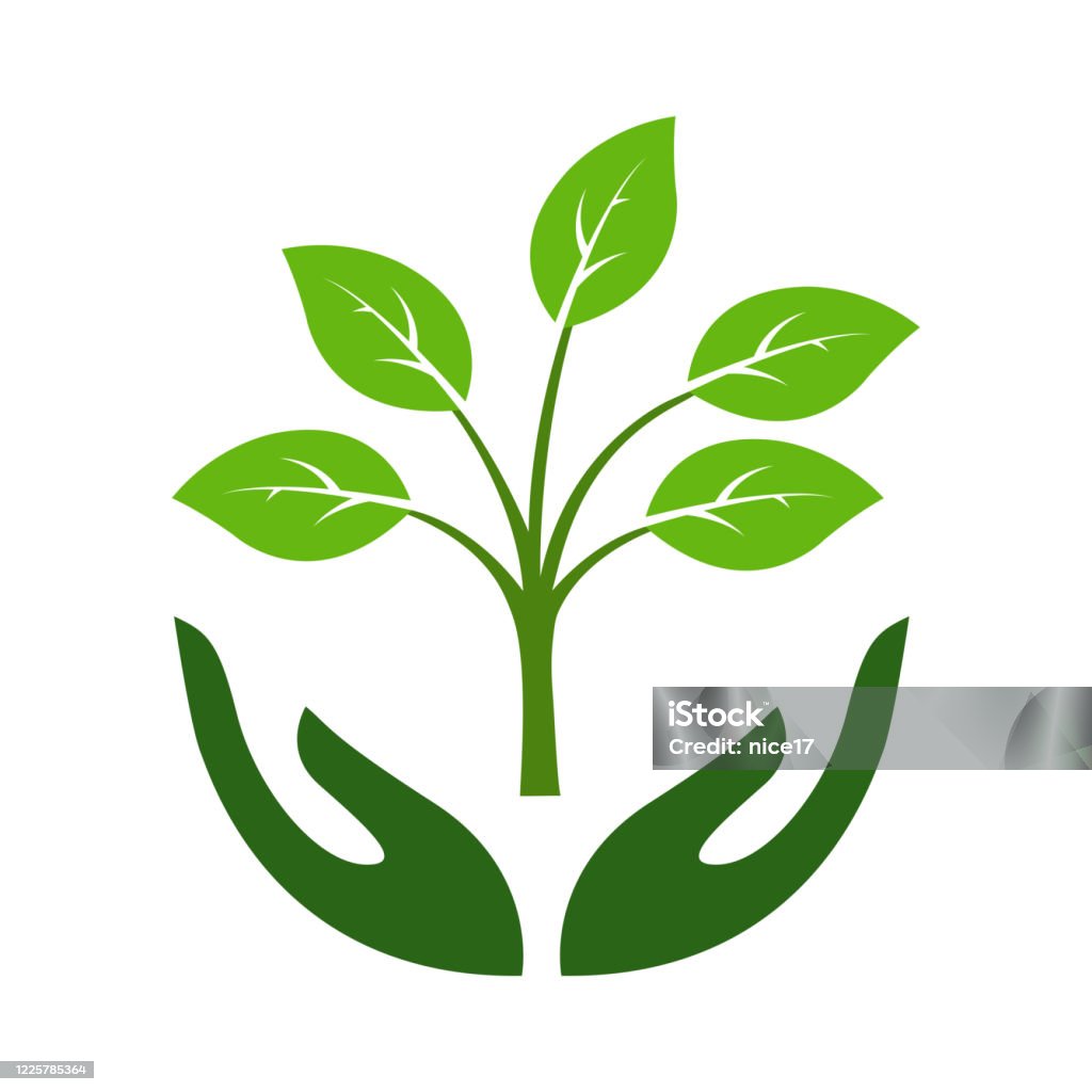 Icon Of Hands Carefully Holding Green Leaves Symbol Of Ecology