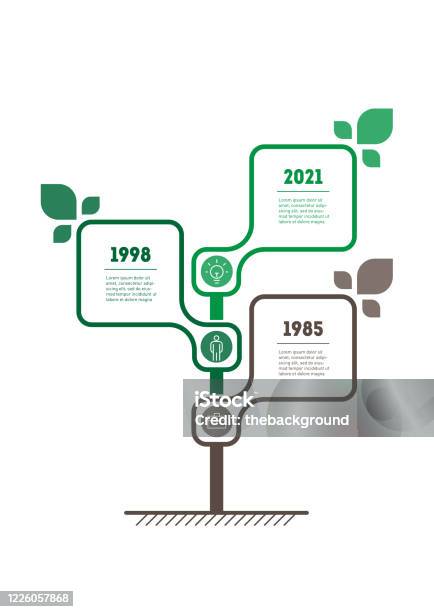Infographie Verticale Ou Chronologie Avec 3 Options Développement Et
