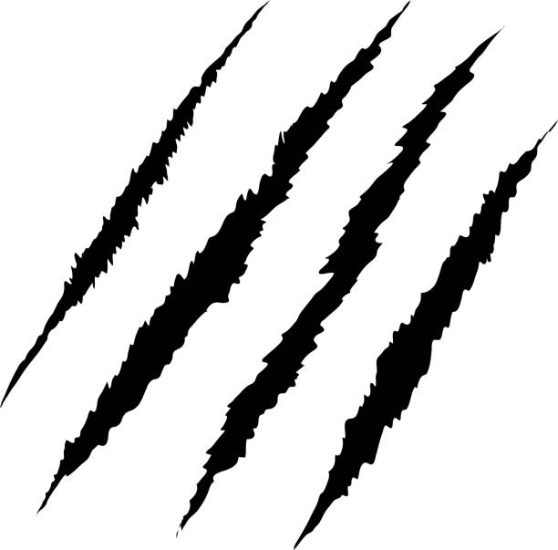 Scratch Vector