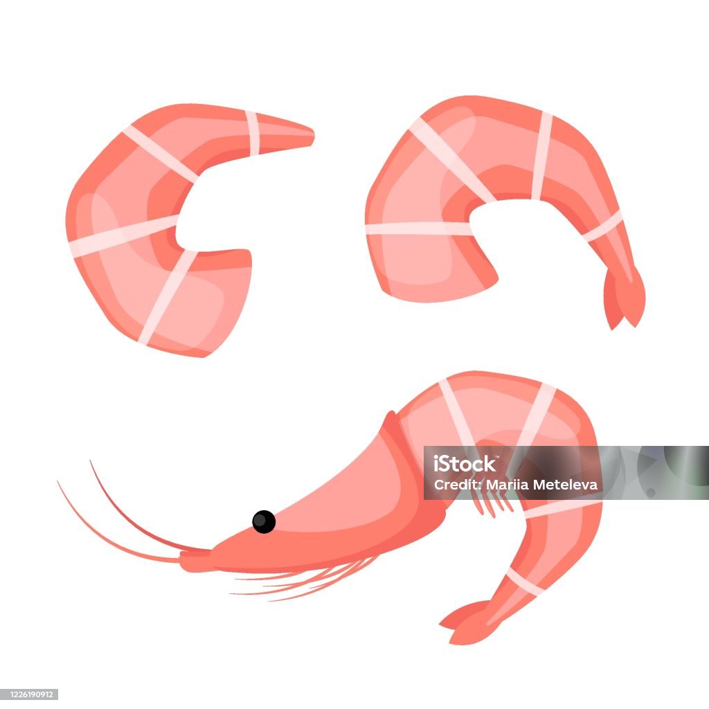 Crevettes Fraîches De Dessin Animé Isolées Sur Le Fond Blanc