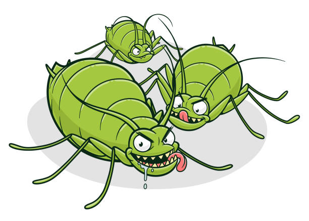 70 Drawing Of Aphid Stock Illustrations Royalty Free Vector Graphics And Clip Art Istock