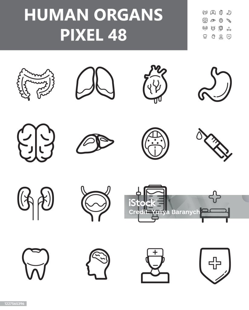 Menschliche Organe Symbolset Vektor Hals Spritze Krankenhaus Werden ... Menschliche Organe Symbolset Vektor Hals Spritze Krankenhaus Werden ...