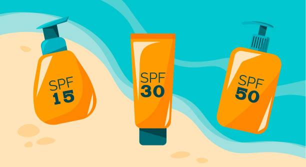 1 300 Applying Sunscreen Stock Illustrations Royalty Free Vector