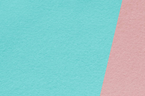 Two Tone Pictures | Download Free Images on Unsplash