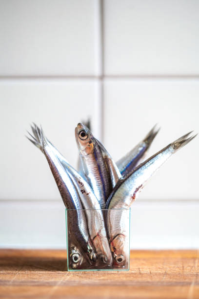 Anchovy Pictures | Download Free Images on Unsplash