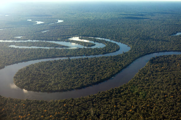 Amazon River Pictures | Download Free Images on Unsplash