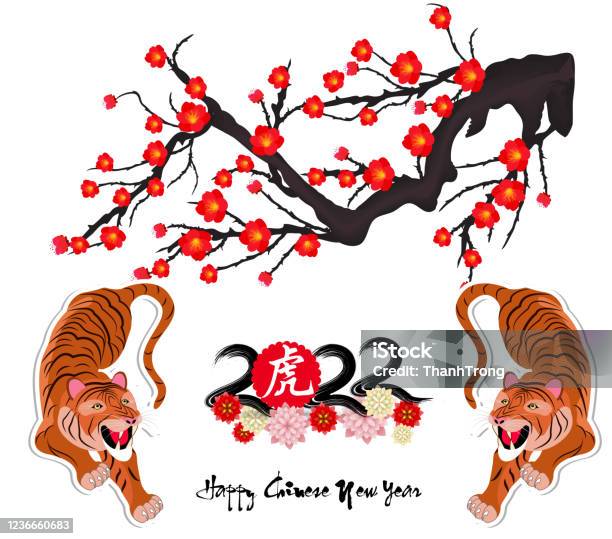 Tahun Baru Imlek 2022 Tahun Harimau Templat Desain Banner Tahun Baru ... Tahun Baru Imlek 2022 Tahun Harimau Templat Desain Banner Tahun Baru ...