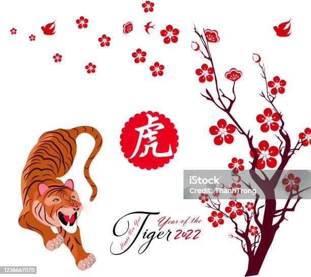 Tahun Baru Imlek 2022 Tahun Harimau Templat Desain Banner Tahun Baru ... Tahun Baru Imlek 2022 Tahun Harimau Templat Desain Banner Tahun Baru ...