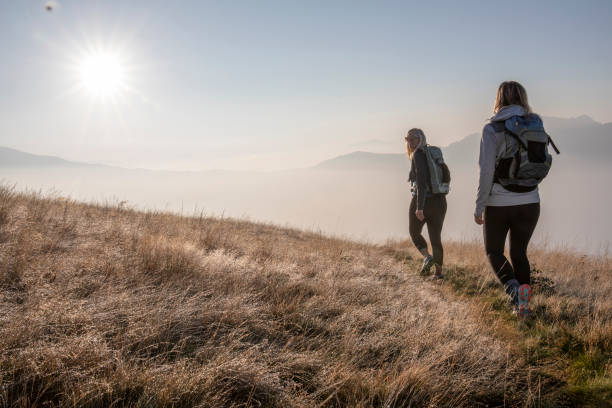Walking Together Pictures | Download Free Images on Unsplash