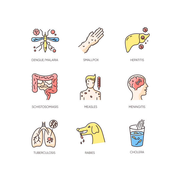 610 Meningitis Ilustração De Stock Gráficos Vetoriais E Clipart