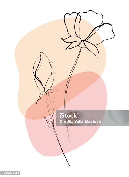 Fleurs Et Feuilles Modèle De Fleur Lignes De Dessin Sur Le Fond Des