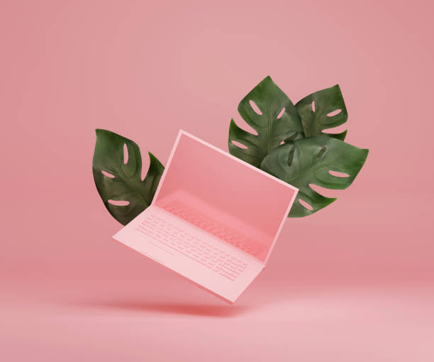 Pink Office Pictures | Download Free Images on Unsplash