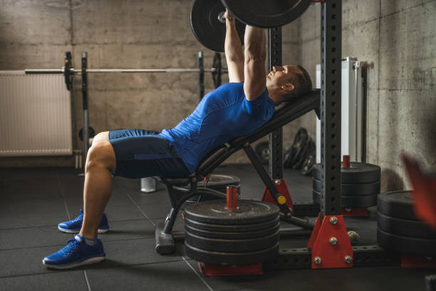 Free picture: bench press, gym, strength, bodybuilding, powerlifting ...