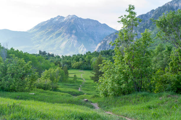 Timpanogos Pictures | Download Free Images on Unsplash