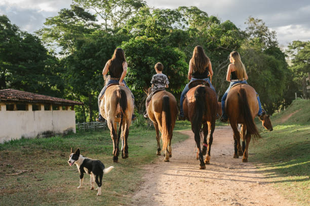 Free Stock Photo of Group of People Riding on Horse Backs | Download ...