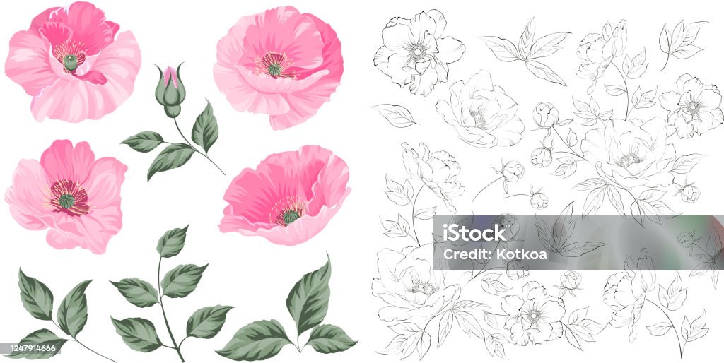 Vintage Poppy Set Wedding Flowers Bundle Flower Collection Of
