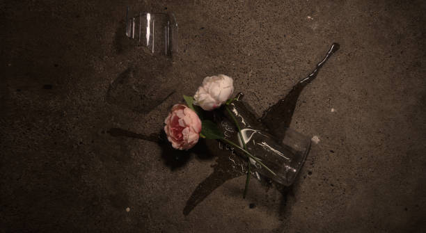 Broken Flower Pictures | Download Free Images on Unsplash